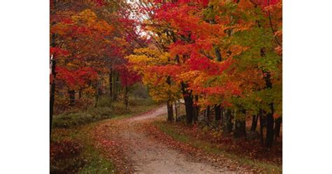 Краткотрайни валежи на запад на изток слънце