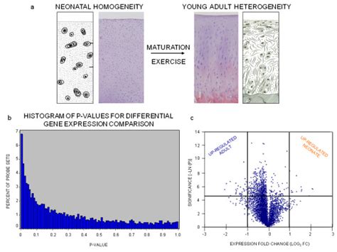 cdna microarray transcriptional profiling indicates differential gene