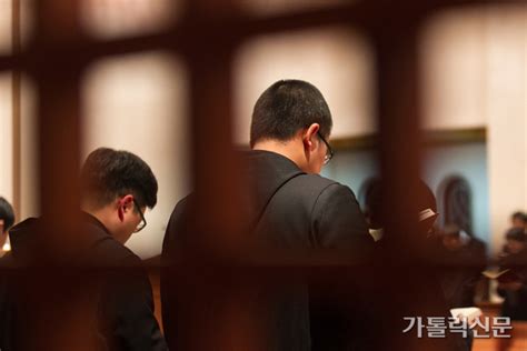 더 쉬운 사회교리 해설 세상의 빛 236 복음과 사회교리 간추린 사회교리 531항