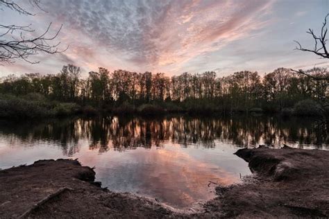 Ohe Bilder – Durchsuchen 505 Archivfotos, Vektorgrafiken und Videos ...