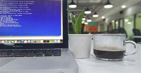 Wordpress Local Business Schema Plugin Development Code Canel