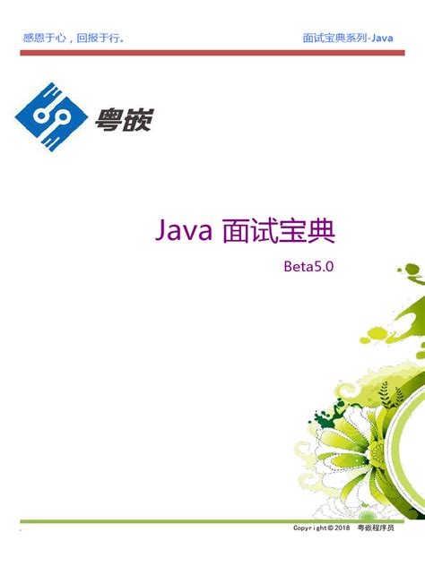 Java面试宝典beta5 0 Pdf