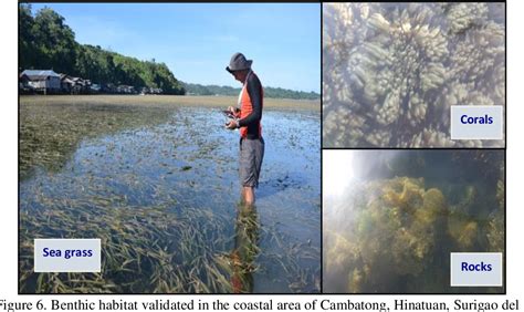 Figure 6 From Benthic Habitat Classification And Mapping Using Support