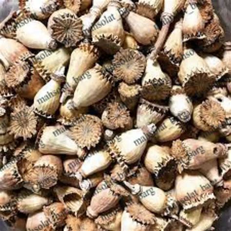 خرید و قیمت خوله شقایق گرز شقایق 50گرمی از غرفه محصولات برگ سبز