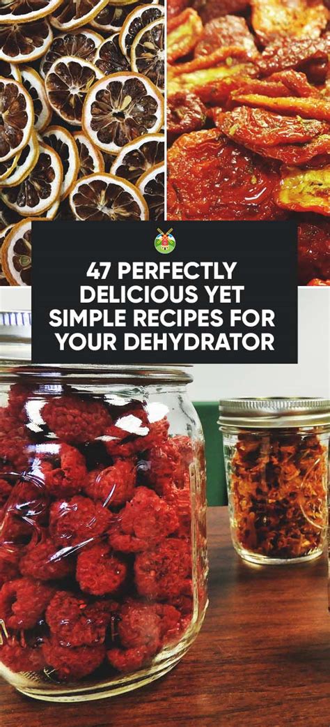 47 Perfectly Delicious Dehydrator Recipes You Will Want To Try