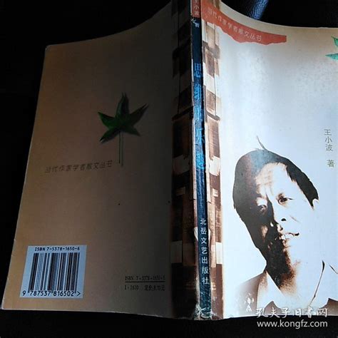 思维的乐趣王小波孔夫子旧书网