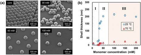 A SEM Images Of Core And Coreshell Particles Prepared Using Download Scientific Diagram