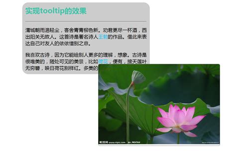 原生js实现tooltip提示框的效果 Seraphjin 博客园 原生js实现tooltip提示框的效果 Seraphjin 博客园