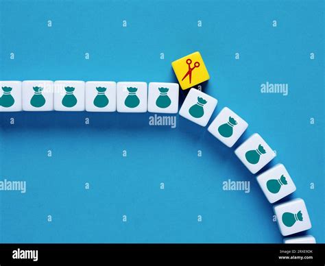 Budget Cut Reducing Costs Cost Optimization Cutting Wage Expenses