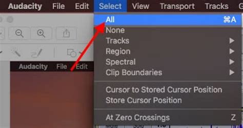 How To Isolate Or Remove Vocals In Audacity