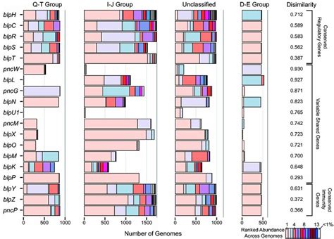 Distribution Of Phylotypes Across Bacteriocin Groups For Each Blp Download Scientific Diagram