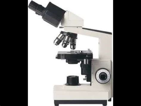 Microscope Set Up YouTube