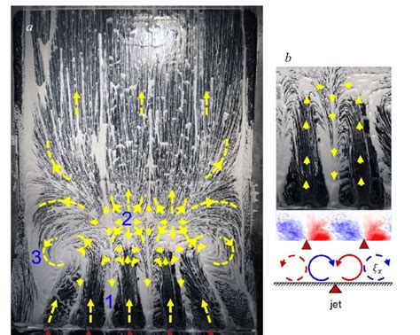 Surface Oil Flow Visualization Of The Actuated Separation Cell A And Download Scientific