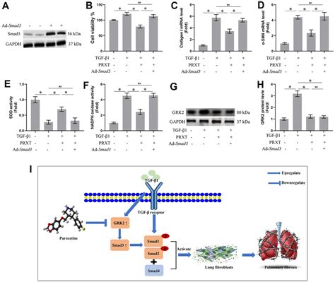 Paroxetine Protects Against Bleomycin Induced Pulmonary Fibrosis By Blocking Grk2 Smad3 Pathway