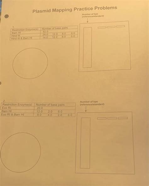 Solved Plasmid Mapping Practice Problems Number Of Bps Chegg Com