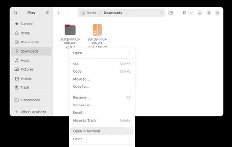 Install And Set Up Scrcpy” Android Remote Control App In Ubuntu Ubuntuhandbook