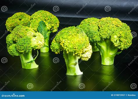 Fantasy Mini Landscape Trees Made With Broccoli On A Black Background Simulating A Miniature