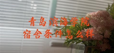 青岛滨海学院宿舍条件怎么样有空调吗宿舍真实内景图片