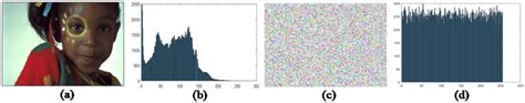 Girl Image A Input Image B Histogram Of Input Image C Encrypted