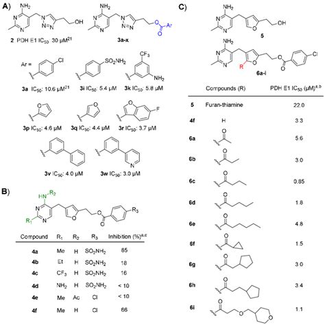 Investigation Of The Sar Of Thiamine Tpp Analogues For Mammalian Pdh Download Scientific