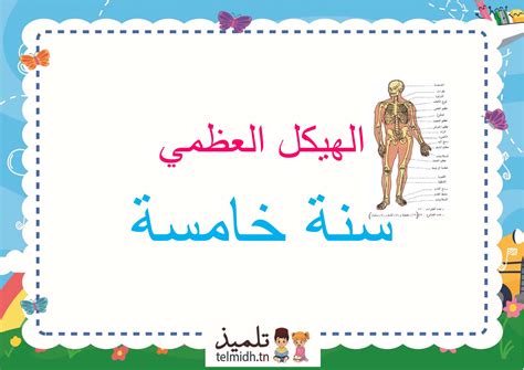 الهيكل العظمي تلميذ