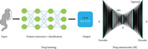 Deep Learning Deep Autoencoder 40 Download Scientific Diagram