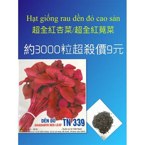 Hạt Giống Rau Dền đỏ Cao Sản 全紅杏菜全紅莧菜全株皆紅含鐵量高 蝦皮購物