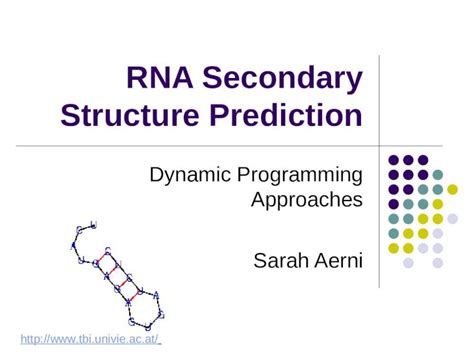 Ppt Rna Secondary Structure Prediction Dynamic Programming Approaches Sarah Aerni Dokumentips