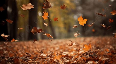 Fall Background Falling Leaves Free Fall Wallpaper Picture Of Falling