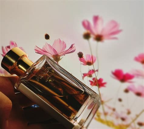 Prada La Femme Prada Perfume A Fragrance For Women