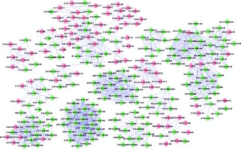 Modules Of The Gene Functional Interaction Network Download Scientific Diagram