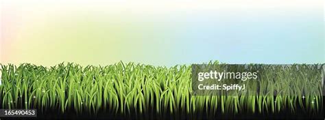 5424 Artificial Turf Vector High Res Illustrations Getty Images
