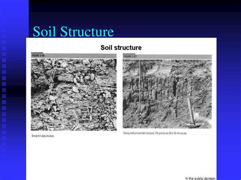 PPT Soil Texture Structure PowerPoint Presentation Free Download ID