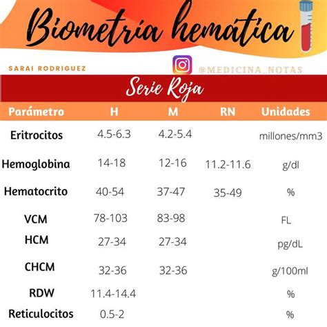 Resúmenes De Biometría Hemática Descarga Apuntes De Biometría Hemática