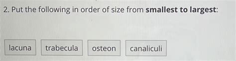 Solved Put The Following In Order Of Size From Smallest To Largest