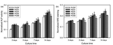 A Alp Activity And B Quantitative Calcium Deposition Of Mc3t3 E1