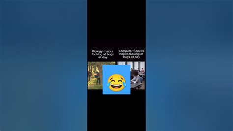 Types Of Bugs 🪲😂 Shorts Developer Bug Funny Funnydev Softwaredeveloper Coding Youtube