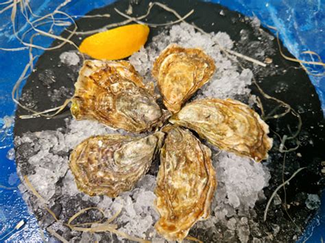 Виды устриц: какие самые вкусные | Купи ракушку