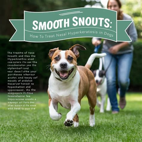 Smooth Snouts How To Treat Nasal Hyperkeratosis In Dogs Animal