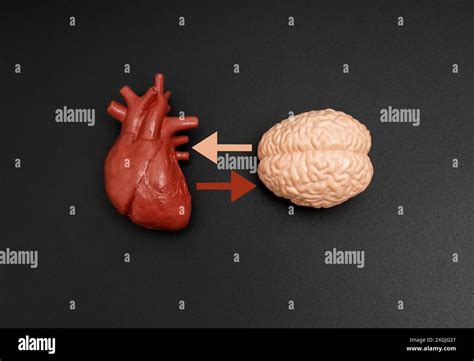Clay Models Of Human Heart And Brain With Bidirectional Arrows Representing The Connection