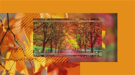 Storm Team 2s Elyse Smith Has Your Forecast For Oct 21