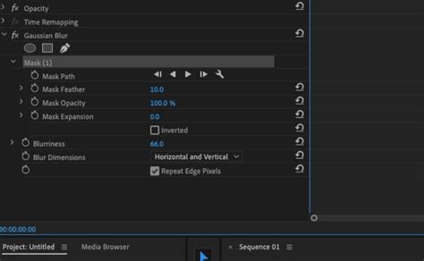 How To Do Masking And Tracking In Premiere Pro Comprehensive Guide Envato Tuts
