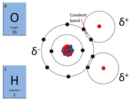 Water Properties And Biological Importance Teaching Resources