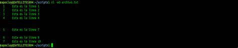 Add Line Numbers To Standard Output Of Text Files In Terminal