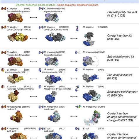 Examples Of Assemblies For Different Types Of Annotation Made By