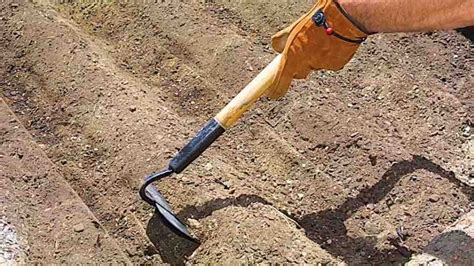 How To Make Rows In Garden Simple Guide