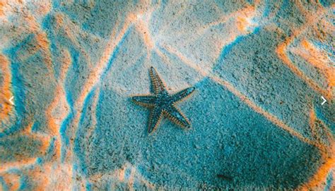 Cssで簡単実装！震える＆歪み効果のあるグリッチエフェクトcss 13選！タイトルや表紙に使える！【アニメーションcssテキストエフェクト