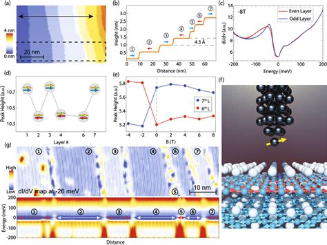 Spin Polarized Imaging The Layered Antiferromagnetic Structure Of The Download Scientific