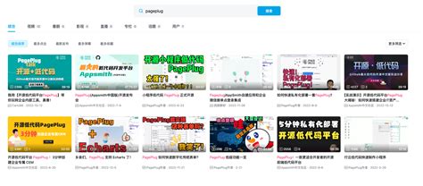 保姆级开源低代码实战教程——玩转pageplug表格开发，增删改查分页如此简单pageplug Github Csdn博客