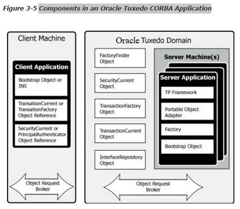 Application Programming Environment